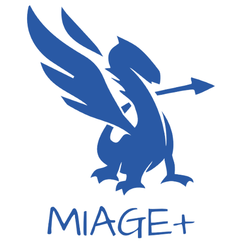 MIAGE Plus - Association des étudiants MIAGE Aix-Marseille